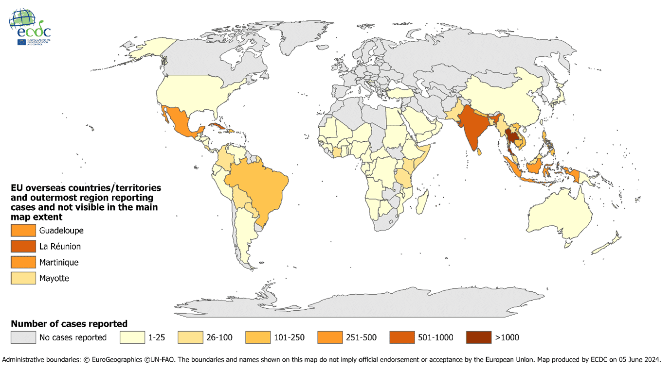 Dengue Fever Guide for Travelers: Prevention, Symptoms, Treatment